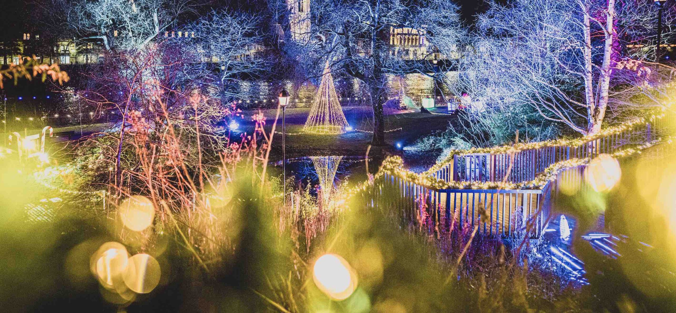 Experience - Starry Nights Magical Illuminated Experiences